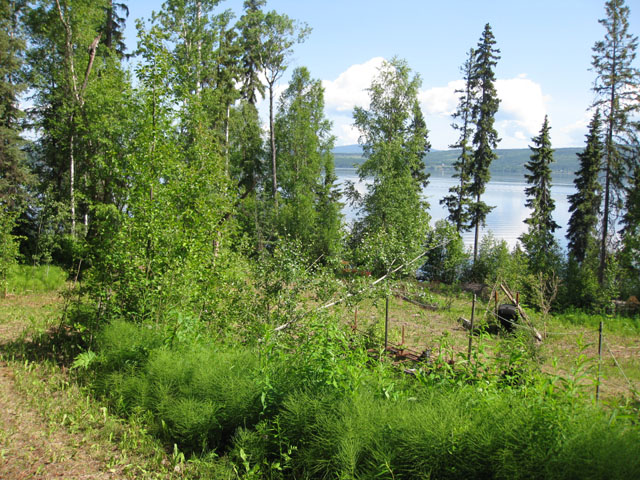 CANADIAN WILDERNESS PROPERTIES - Waterfront Properties.